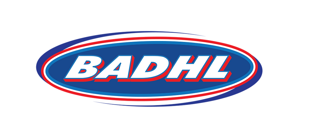 Beginner Adult Developmental Hockey League | SI Macomb